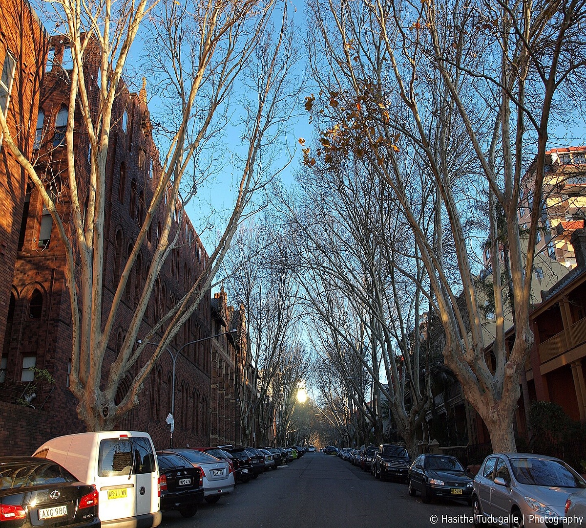 Gutter Installation and Services in Potts Point | GGA